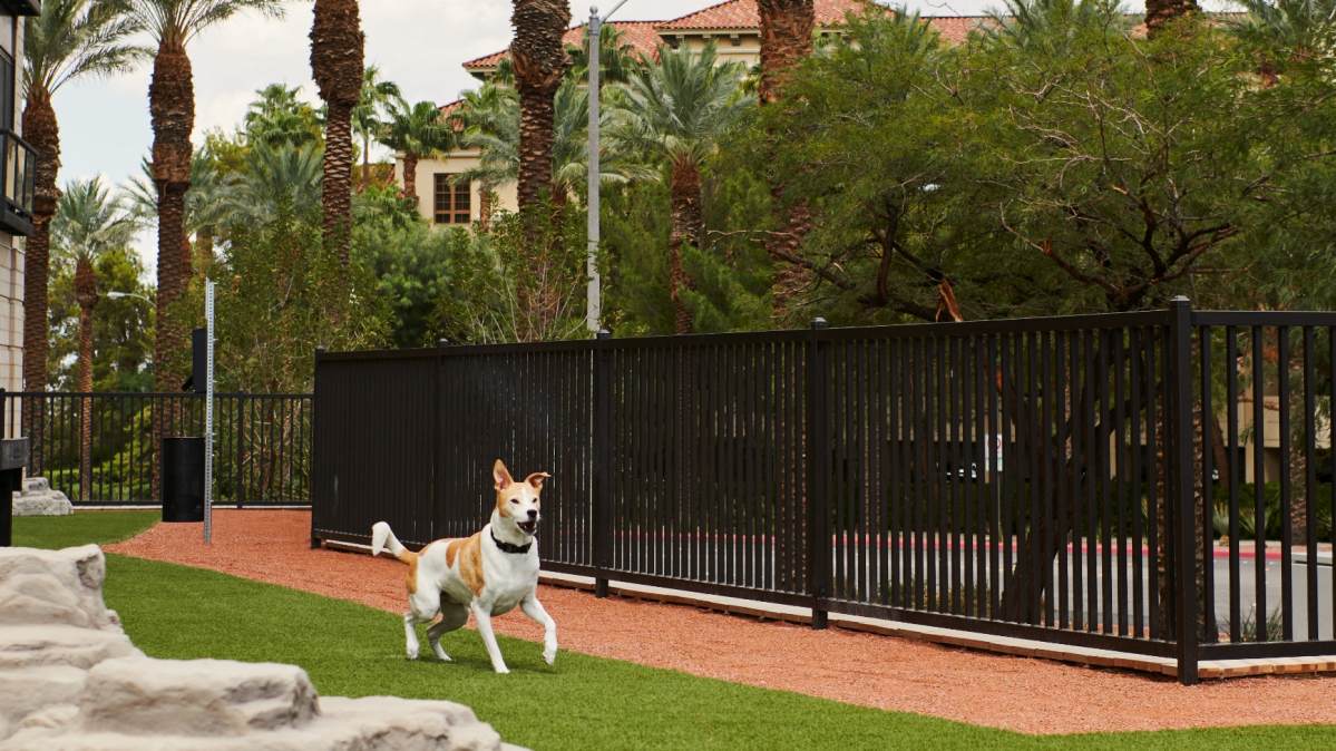 Life Time Living | Luxury Apartments With A Focus On Health